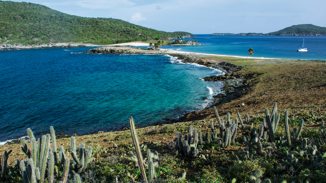 Los Testigos - - Caribbean - Multihulls World - Multihulls World