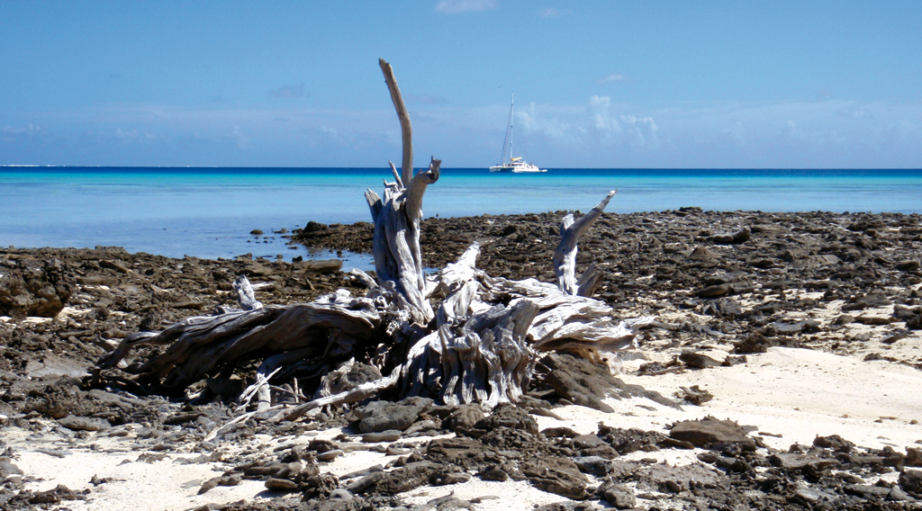 The strange ways of Mopelia… - - Pacific Ocean - Multihulls World ...