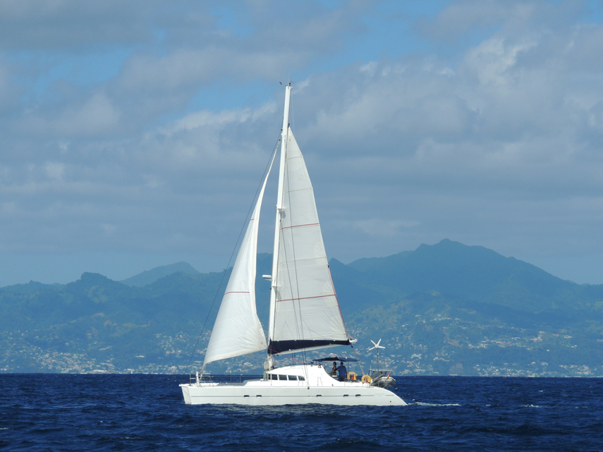 Fat Cat : sailing around the world - Multihull - Multihulls World ...