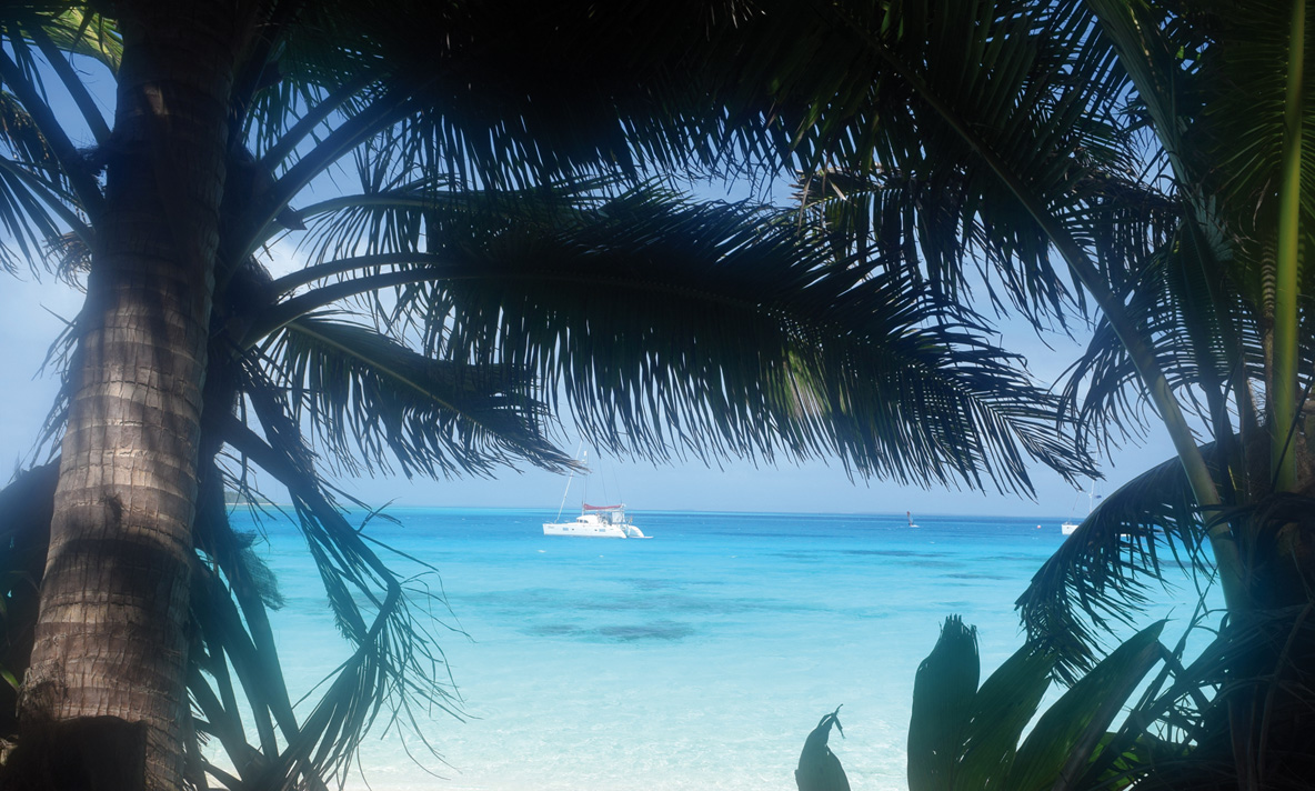 Shuti : in Coco’s Keeling. - - Indian ocean - Multihulls World ...